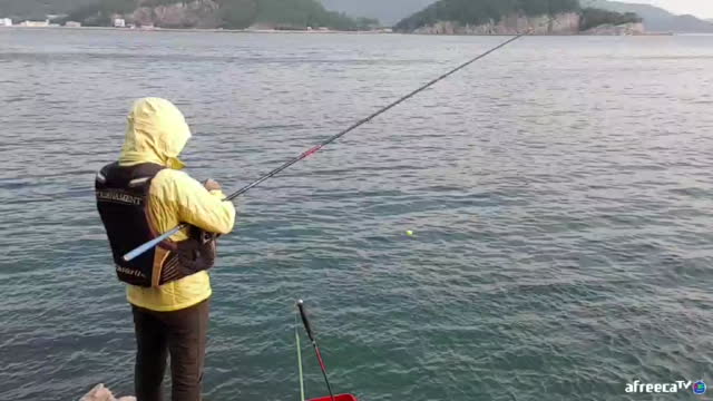 [클립]낚시)) 미조 벵에돔낚시 뉴스타호 포인트개척 밥주자요 | 아프리카TV VOD