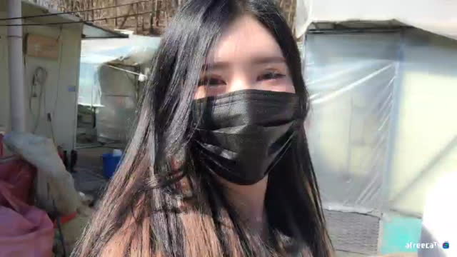 [클립]즐거운 유기견봉사48기/킴새롱새롱,BJ채희,김지비,BJ희찬,BJ그릭 | 아프리카TV VOD