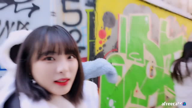 [캐치][수니그룹] NSW 빵하디 야방 | SOOP VOD