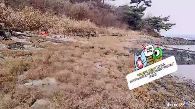 [클립]소원권 무인도 1박 2일 도전 / 쏘패 애견 간석 S22 울트라 | SOOP VOD