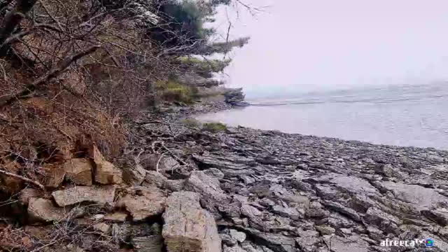 [클립]소원권 무인도 1박 2일 도전 / 쏘패 애견 간석 S22 울트라 | SOOP VOD