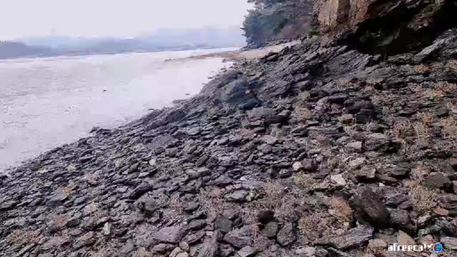 [클립]소원권 무인도 1박 2일 도전 / 쏘패 애견 간석 S22 울트라 | SOOP VOD