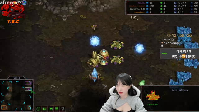 [클립]YBC] 7시 (구)바스포드ck - 24시간 볼칙 시작 .... | 아프리카TV VOD