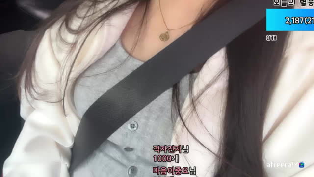 [클립]jup D컵 게스트랑 등산 갑니다 (야린) | 아프리카TV VOD