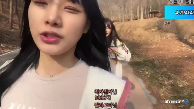 [캐치]jup D컵 게스트랑 등산 갑니다 (야린) | SOOP VOD