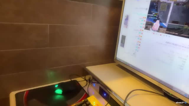 [캐치][TPZ] 탱글야방 p씨방 | SOOP VOD