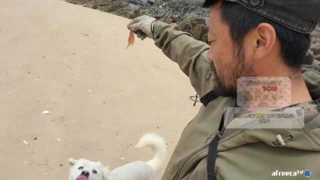 [캐치]간그릴스법칙7 | SOOP VOD