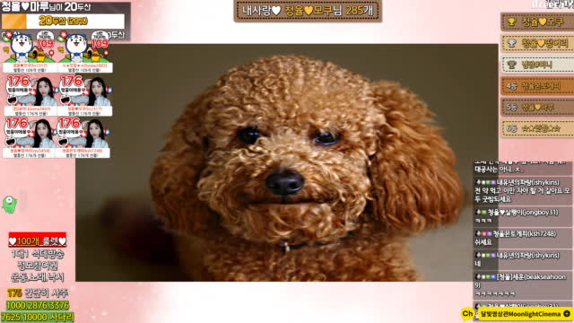 [클립] 청율님♥에게 별풍선 3376개 선물 | SOOP VOD