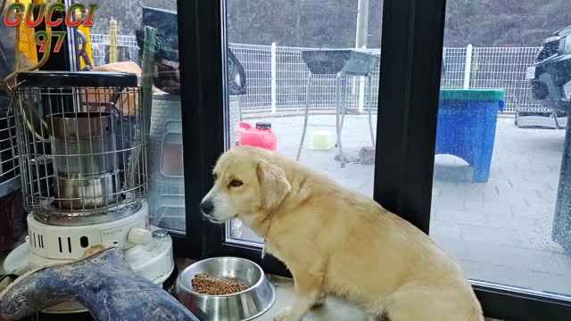 [캐치]2023,12,15 | SOOP VOD