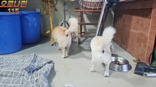 [캐치]2023,12,15 | SOOP VOD