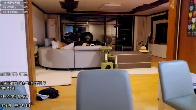 [클립]2030 수다방~~유부ok | SOOP VOD