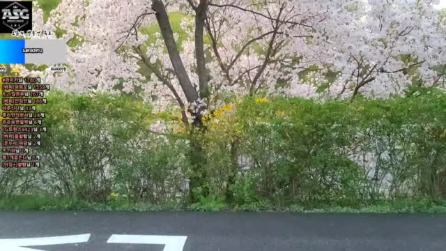 [클립]ASG루리x BJ엣지 (EDGE) - 까꿍 | 아프리카TV VOD