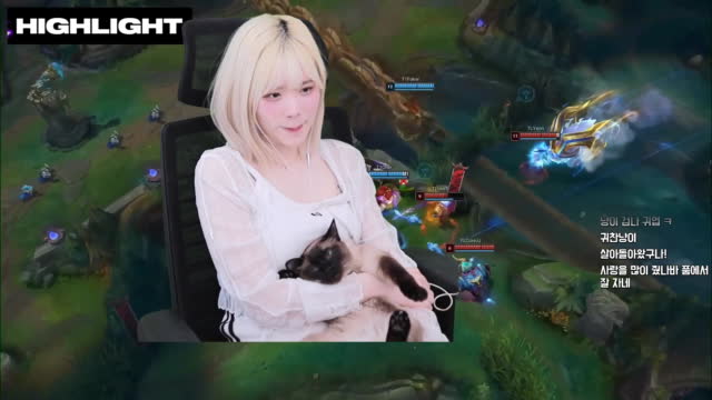 [캐치][T1 vs TL] 오늘은 무조건 이긴다 #MSI2024 | SOOP VOD