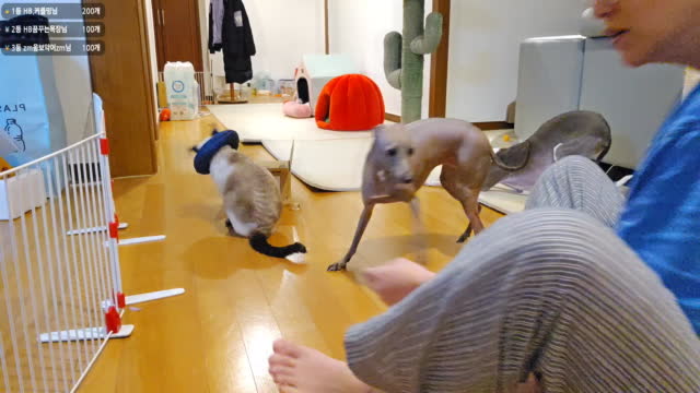 [클립]나미 까까 냠냠 | SOOP VOD