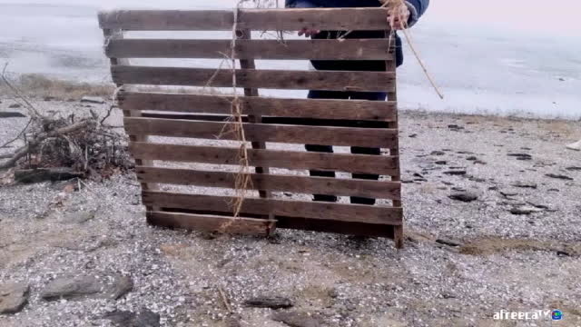 [클립]소원권 무인도 1박 2일 도전 / 쏘패 애견 간석 S22 울트라 | 아프리카TV VOD