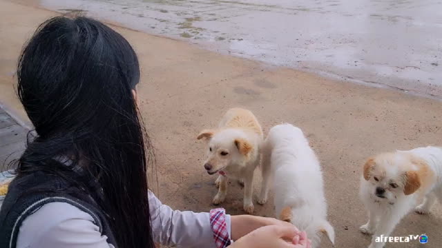 [클립]개크루6탄?? 평화의 시작?? | SOOP VOD