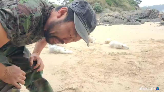 [클립]간그릴스법칙7 | SOOP VOD