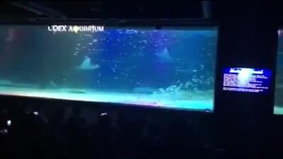 코엑스 아쿠아리움8 | SOOP VOD