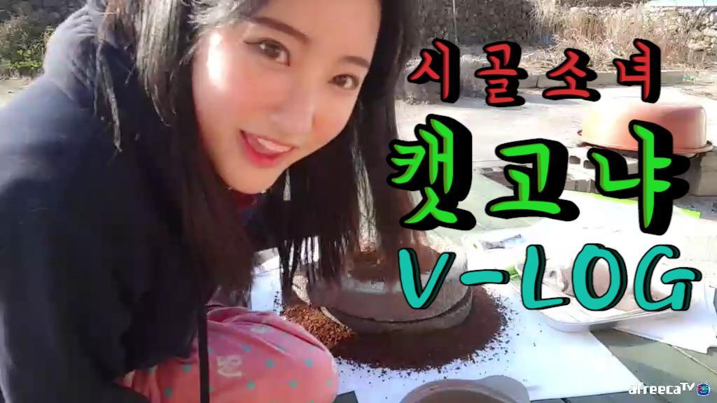[캣고냐]시골생활 V-LOG | SOOP VOD