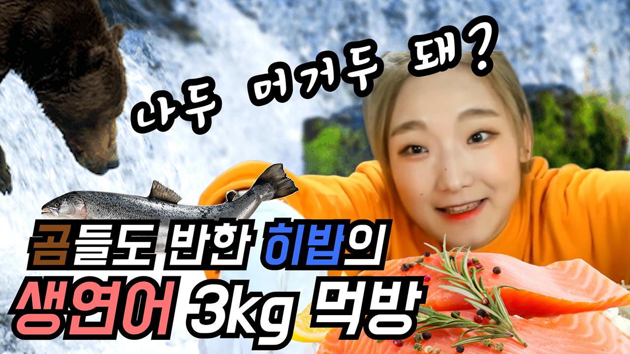 히밥 생연어 3kg 먹방 | SOOP VOD