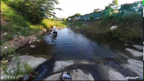 비밀포인트 족대질 한번에 15센치 피래미10마리 실화냐 돌개 찌개남 | SOOP VOD