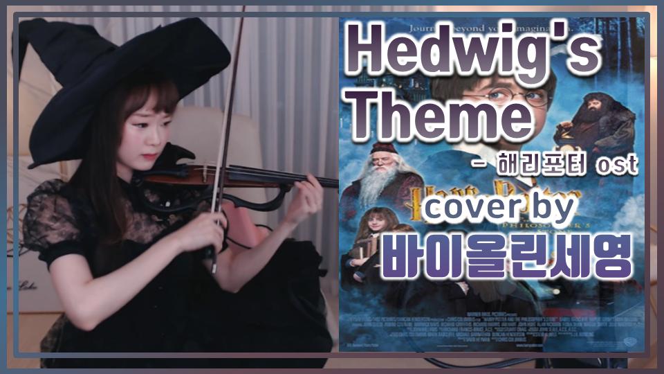 해리포터 ost - Hedwig's Theme(헤드위그의 테마)[cover by 바이올린세영] | SOOP VOD