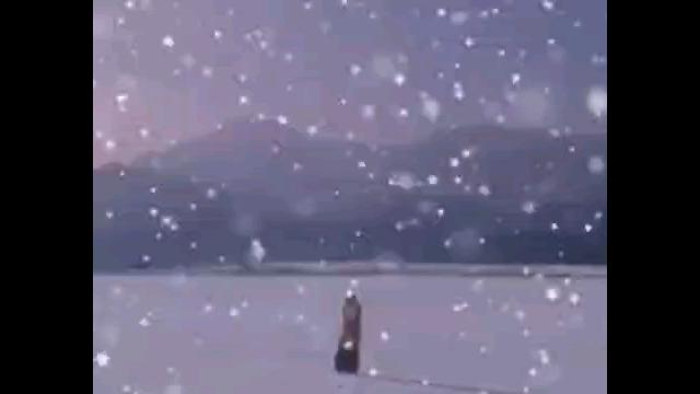 하얀겨울 - 미스터 투(MR.2) | SOOP VOD