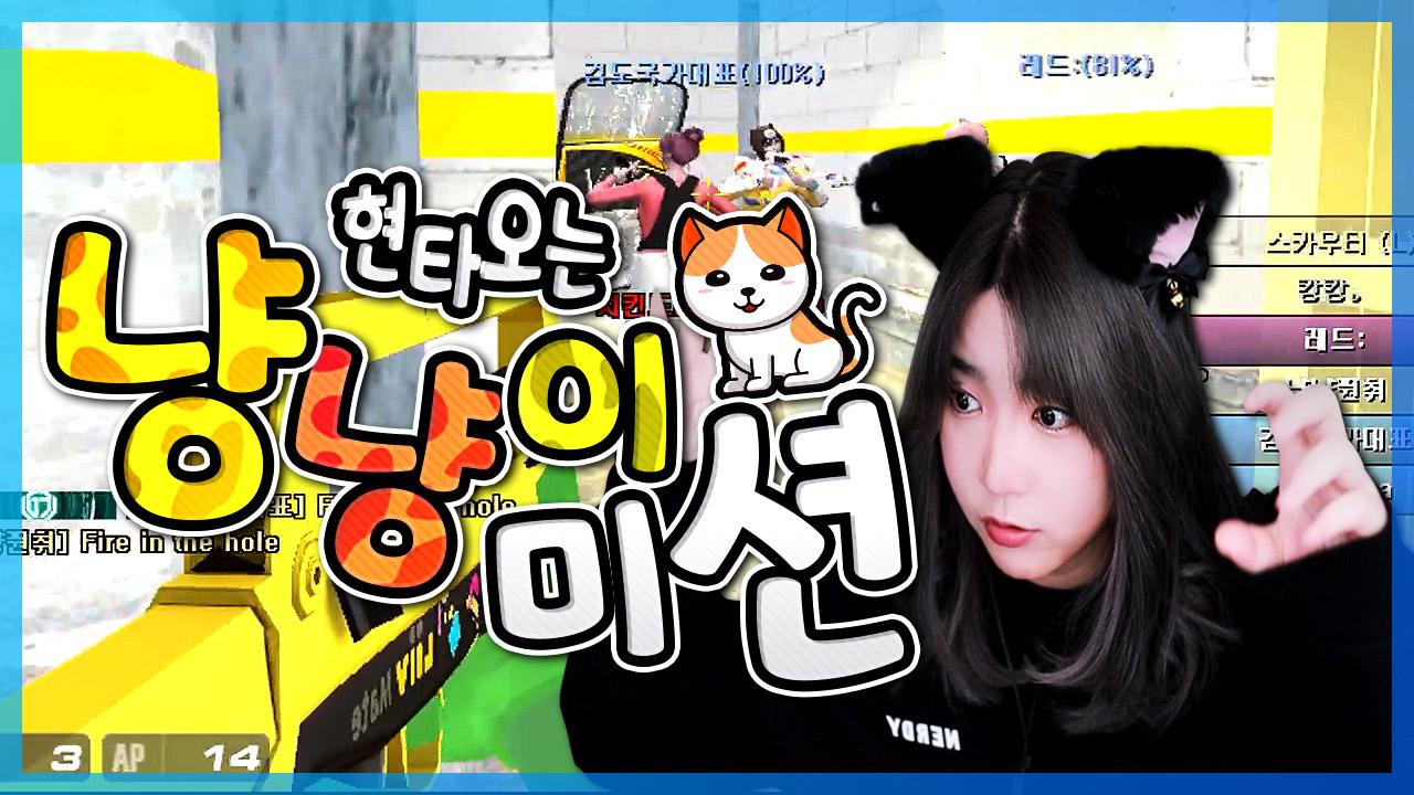 현타오는 냥냥체 미션 고양이 빙의하기! [서든 랭크전 하이라이트] | Sudden Attack | SOOP VOD