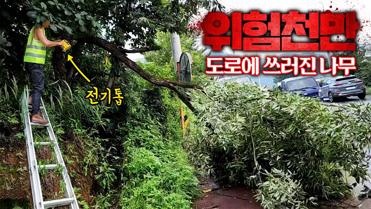 폭우 이후 동네 7곳을 순찰+피해복구 및 초간단 배수구 정비 | SOOP VOD