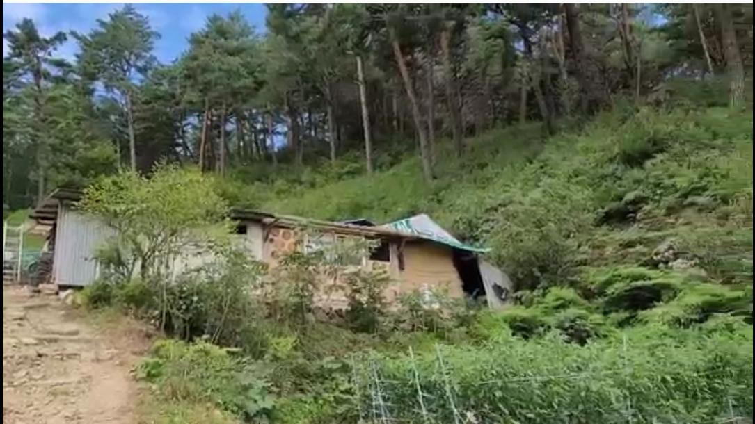 우와 해발800고지에 나홀로 자연인가옥 집안에서 끊임없이 샘솟는 신기한 샘물 | SOOP VOD