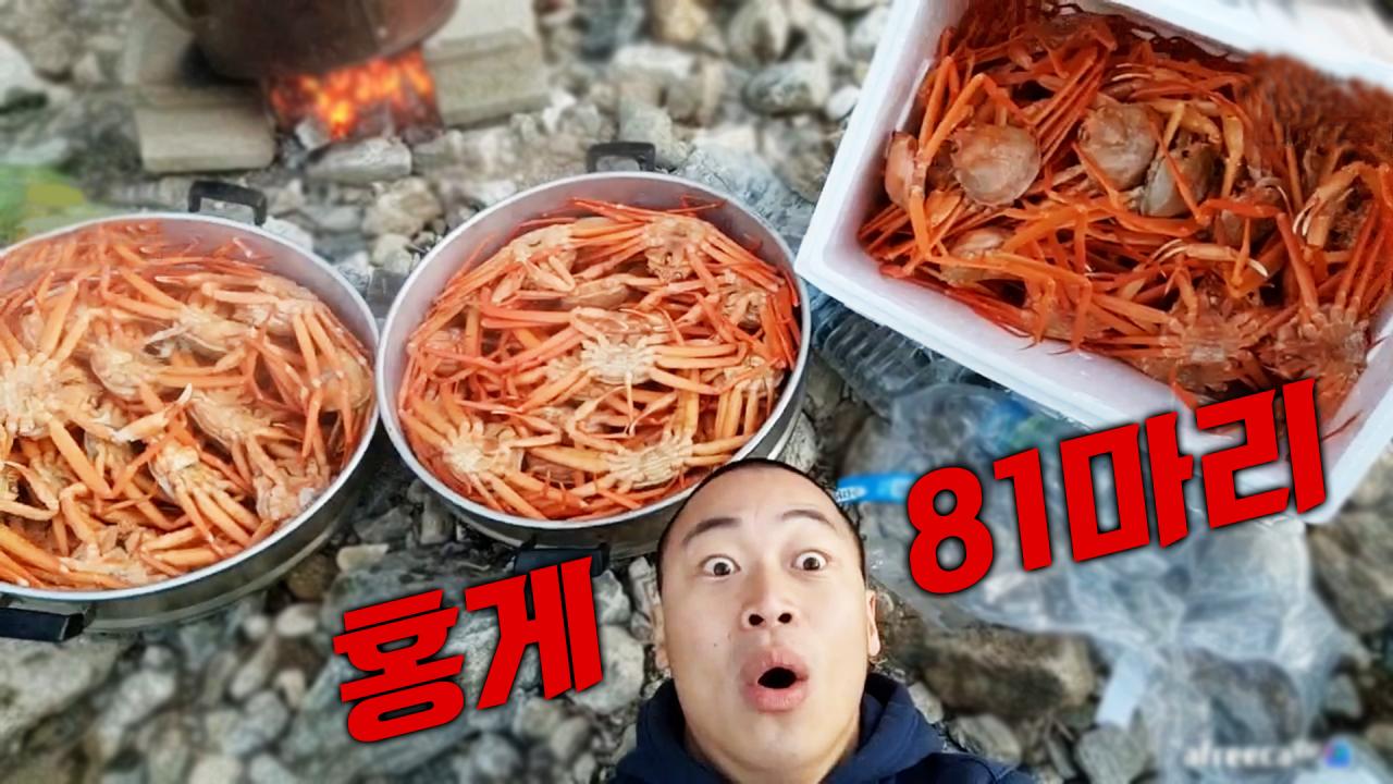 10만원대로 홍게 81마리 실화냐?! 맛과 품질 상태 보고 놀랐습니다;; | SOOP VOD