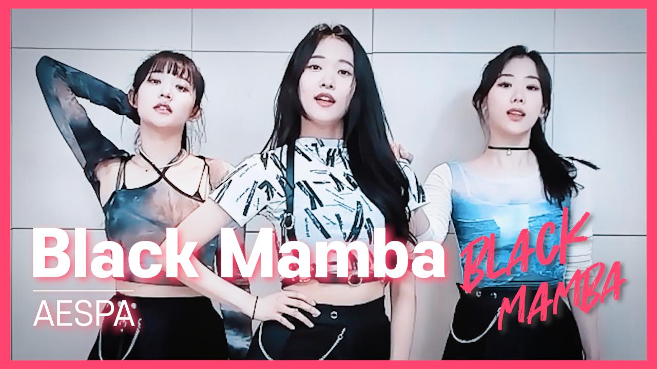 [시즌스] Black Mamba💥 | SOOP VOD