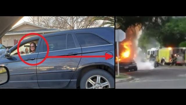 【그를 만난 모든 사람은 '사라졌다'】 나무 손질사 연쇄살인범 '드디어 잡히다'ㅣTree trimmer killerㅣ오컬트스토리 ...