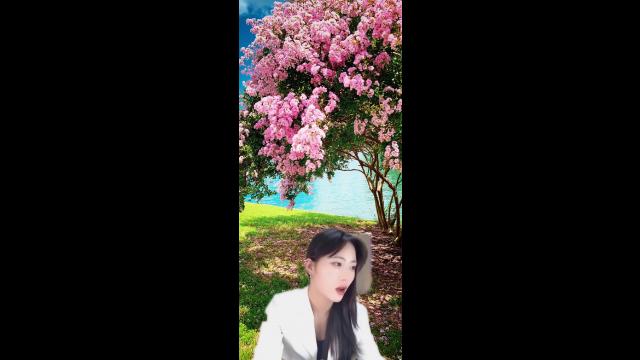 [캐치]시조새(JUP) 조세라핌 신입 멤버 BJ수빙 줍줍댄스 | 아프리카TV VOD