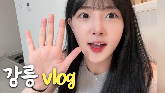 샤프심은 못본척해주세요.. 강릉vlog | SOOP VOD