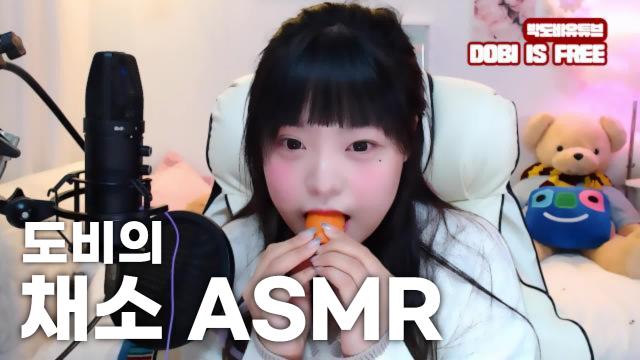미공개 영상! 도비의 채소 ASMR | SOOP VOD