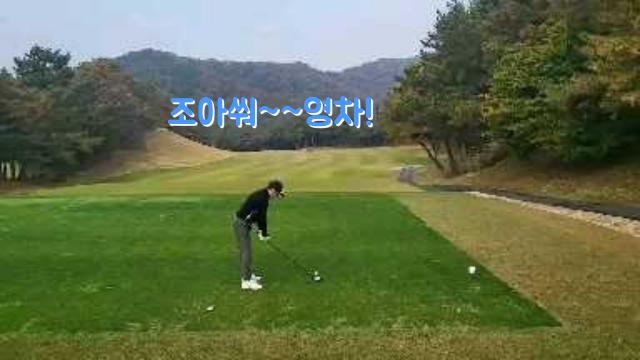 라운딩시 동반플레이어의 중요성 ㅋㅋ ㅋㅋKPGA대회 나온줄...리액션 왜케좋아!!(세종에머슨CC) | SOOP VOD