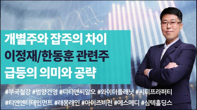 주식투자 개별주와 잡주의 차이한동훈관련주 이정재 부국철강 남선알미우 범양건영 디티앤씨알오 와이더플래닛 씨티프라퍼티 티엔엔터테인먼트 래몽래인 심텍