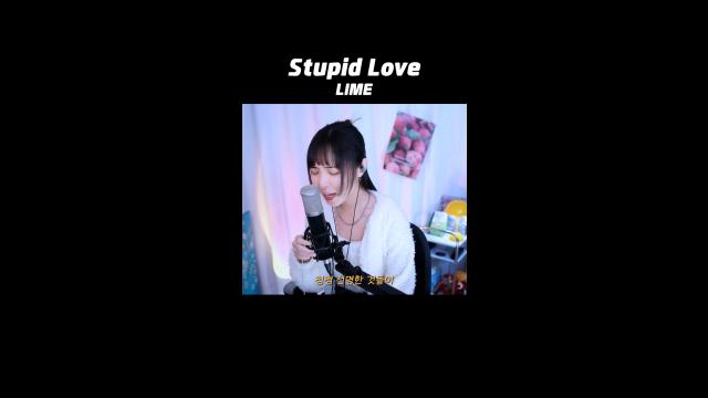 LIME - Stupid Love(Cover by 정보슬) | SOOP VOD