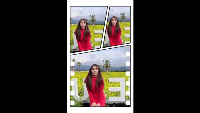 [캐치]경여♥ 제주 유채꽃~오로나민C | SOOP VOD