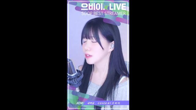 으비이.🍒새벽길 - KCM | 아프리카TV VOD