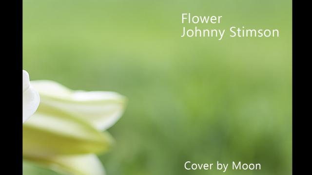 Johnny Stimson - Flower // Cover by Moon | SOOP VOD