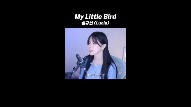 심규선(Lucia) - My Little Bird(Cover by 으비이.) | SOOP VOD