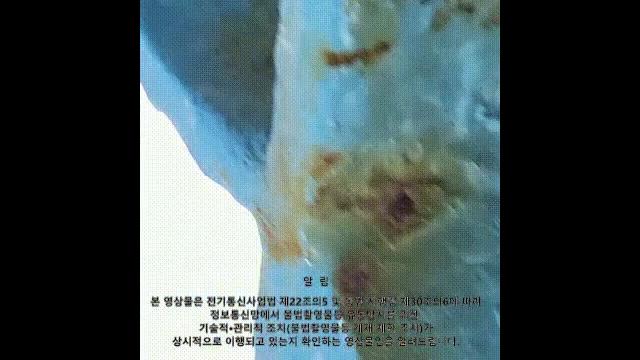 [캐치]유해정67 | SOOP VOD